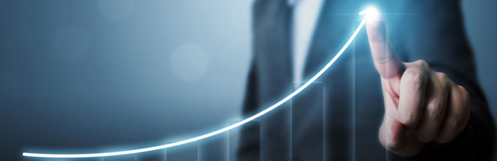 Company Overview – Professional Systems